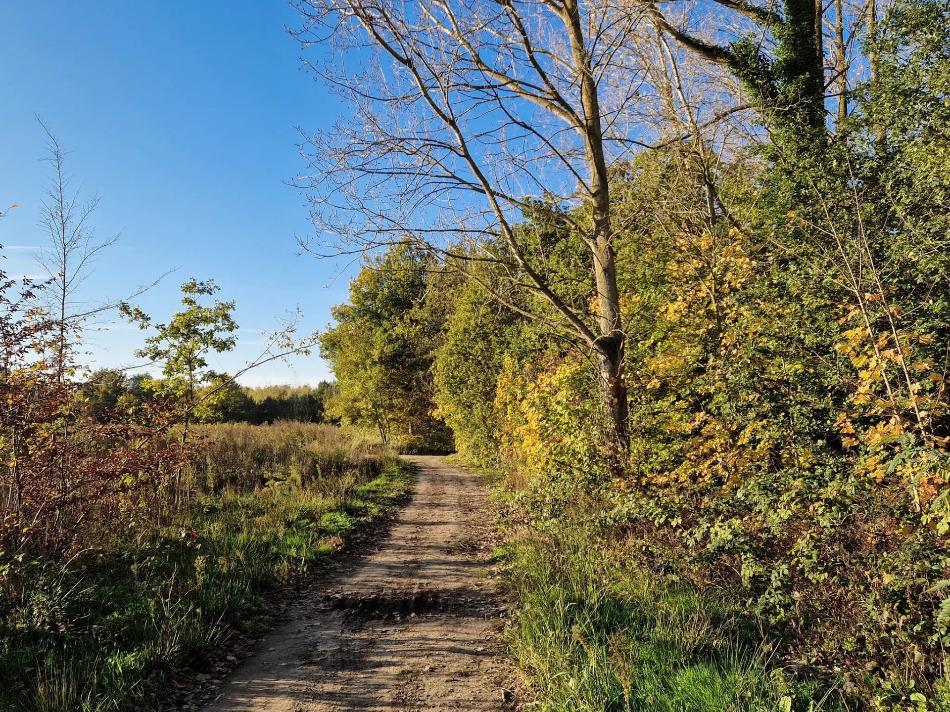 Mountainbiken door Aalst, Lede, Impe, Oordegem, Smetlede en Wanzele: 40 ...